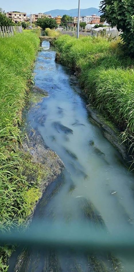 The Camorra and the garbage racket in the ‘Land of Fires’ - The Mob Museum