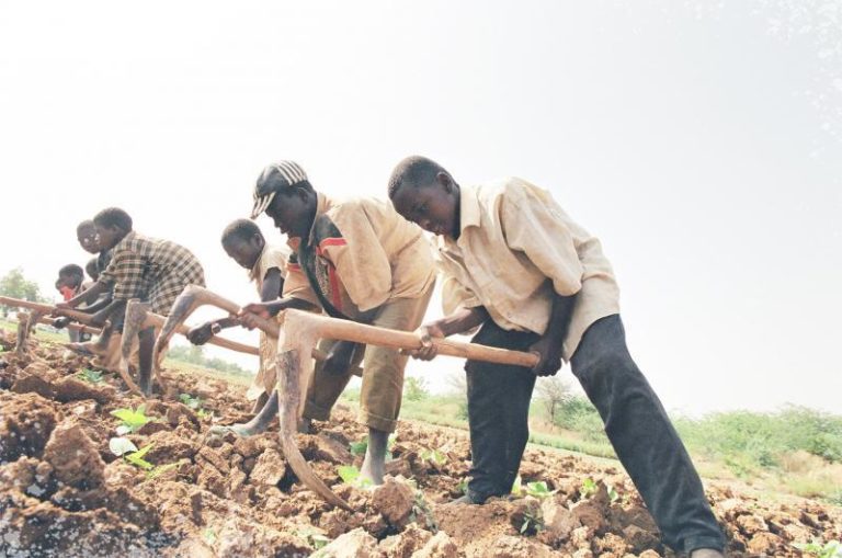 The world’s top five organized crime rackets - The Mob Museum