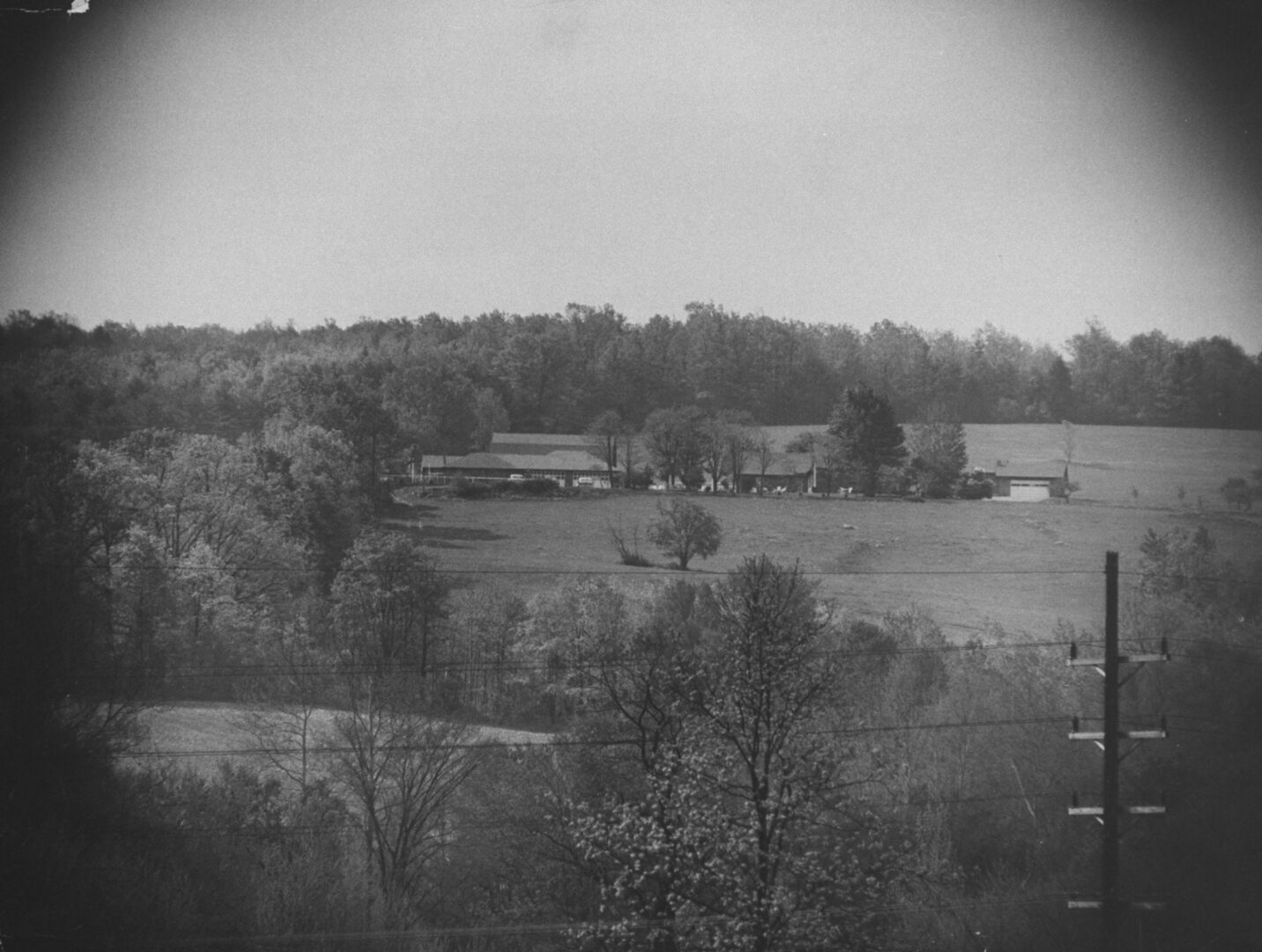 The Buffalo Mafia’s ill-advised art thefts - The Mob Museum